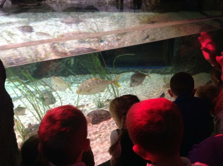 Stickney Church of England Primary School - Skegness Aquarium